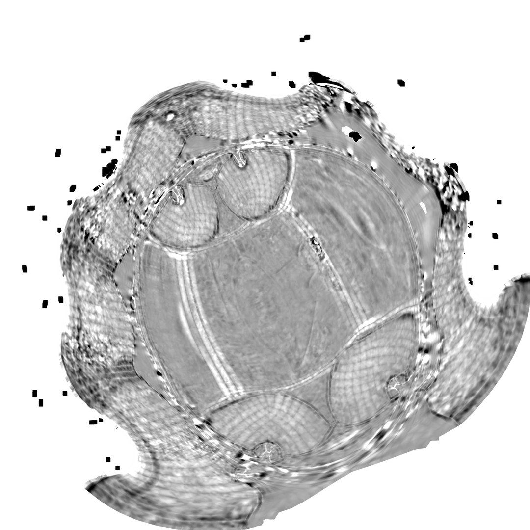 Egg Container Model - TurboSquid 1271199