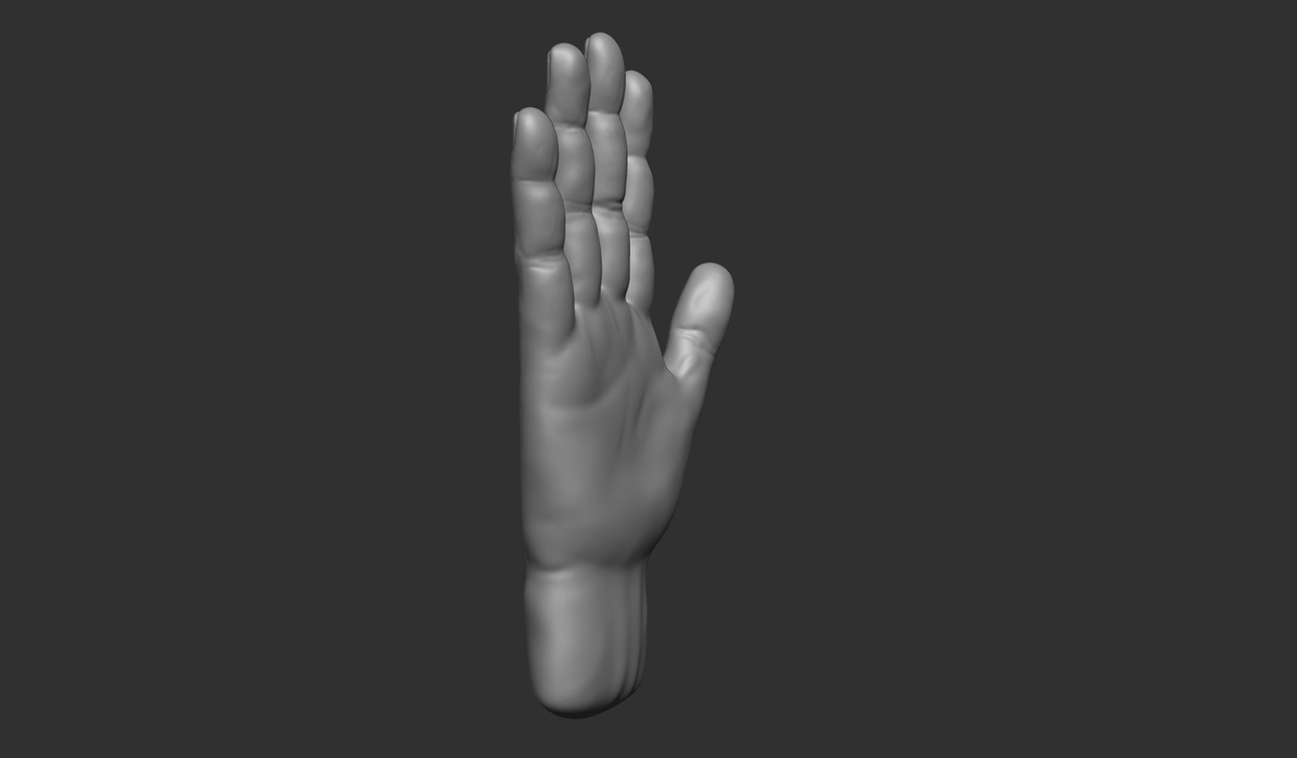 Hand Pose 3D Model - TurboSquid 1643556