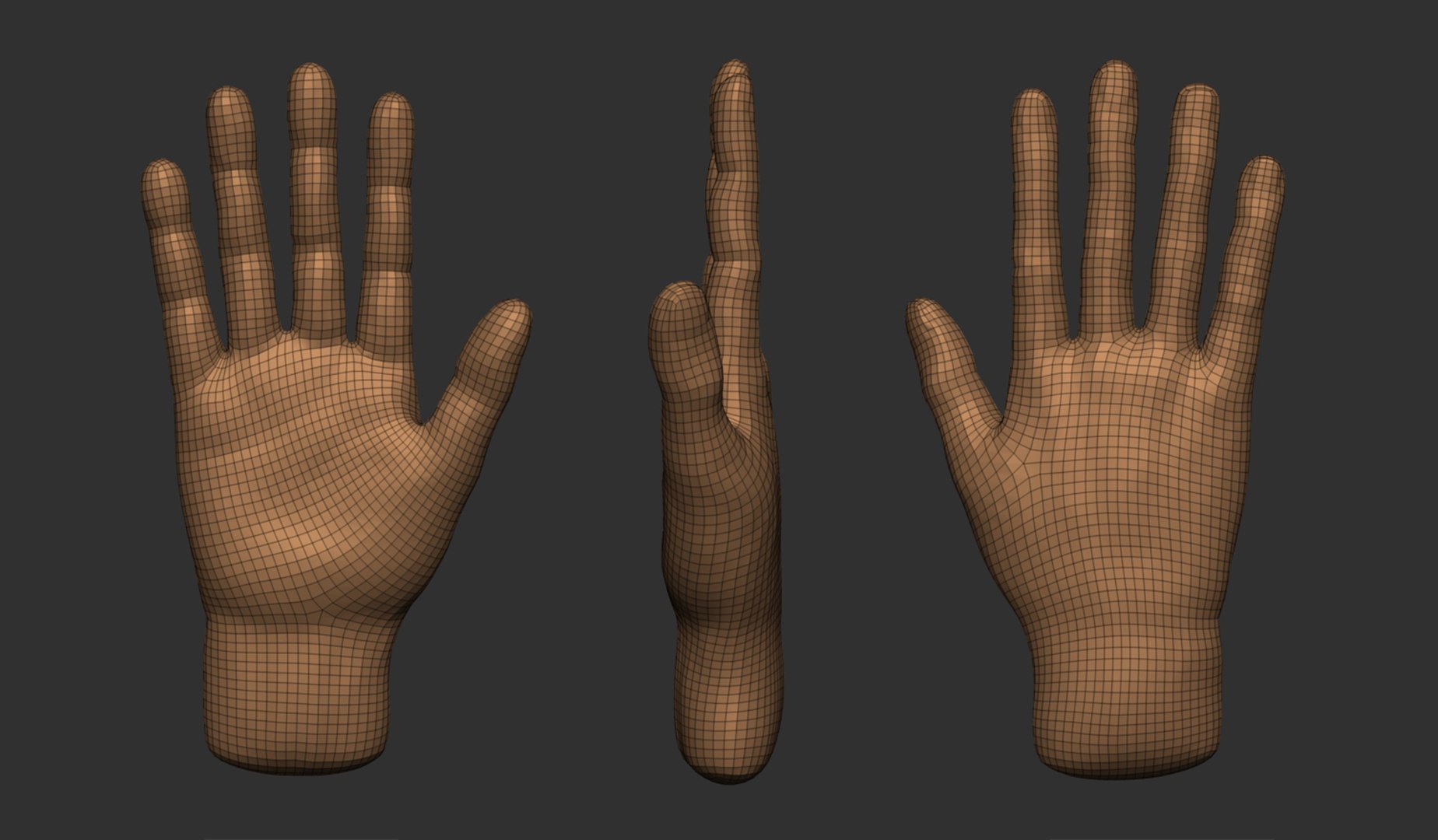 Hand Pose 3D Model - TurboSquid 1643556