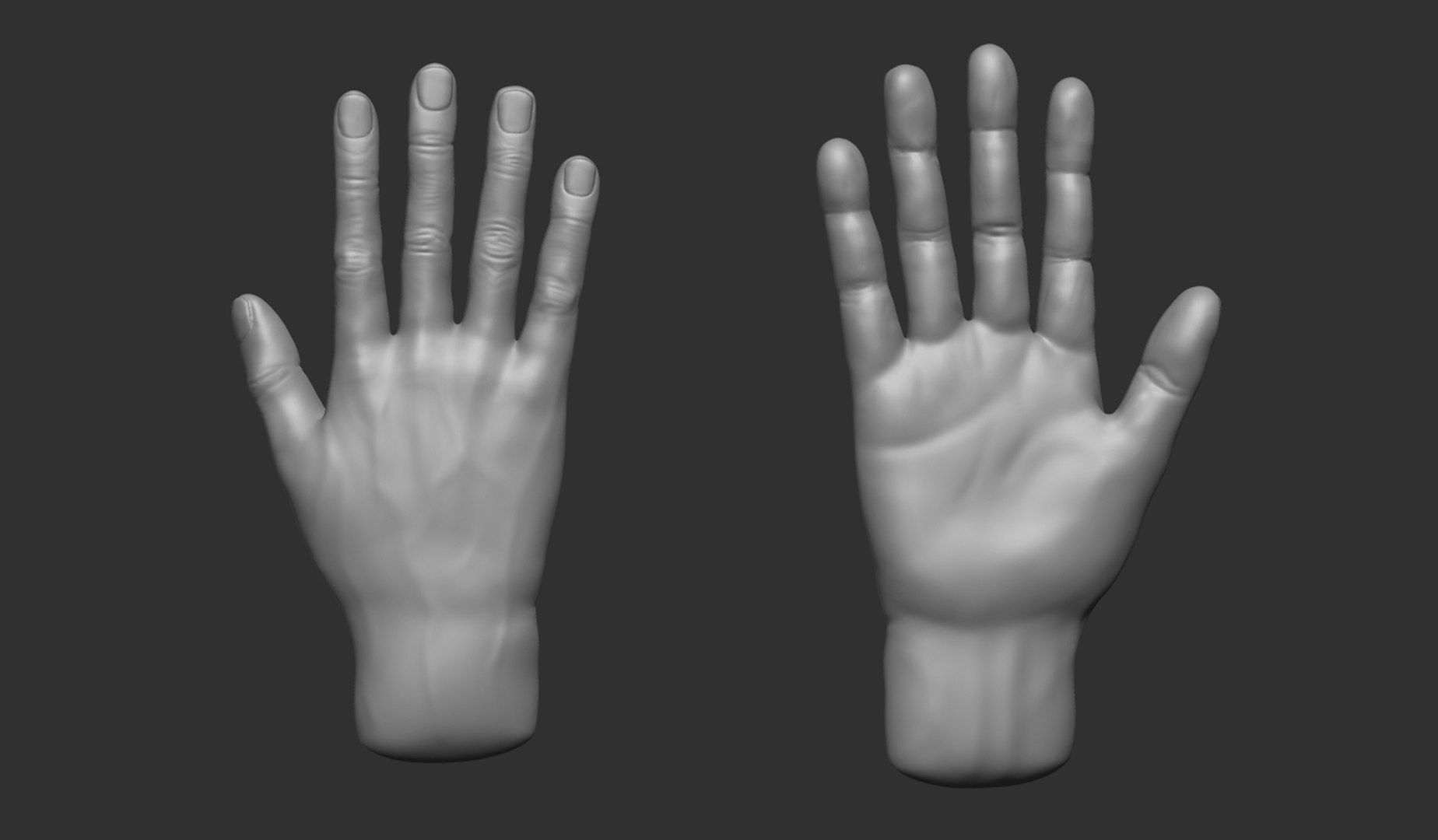 Hand Pose 3D Model - TurboSquid 1643556