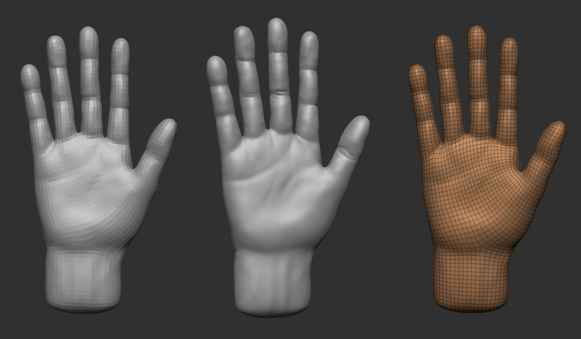 Hand Pose 3D Model - TurboSquid 1643556