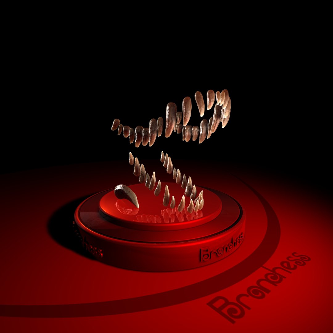 3d teeth dinosaur claw model