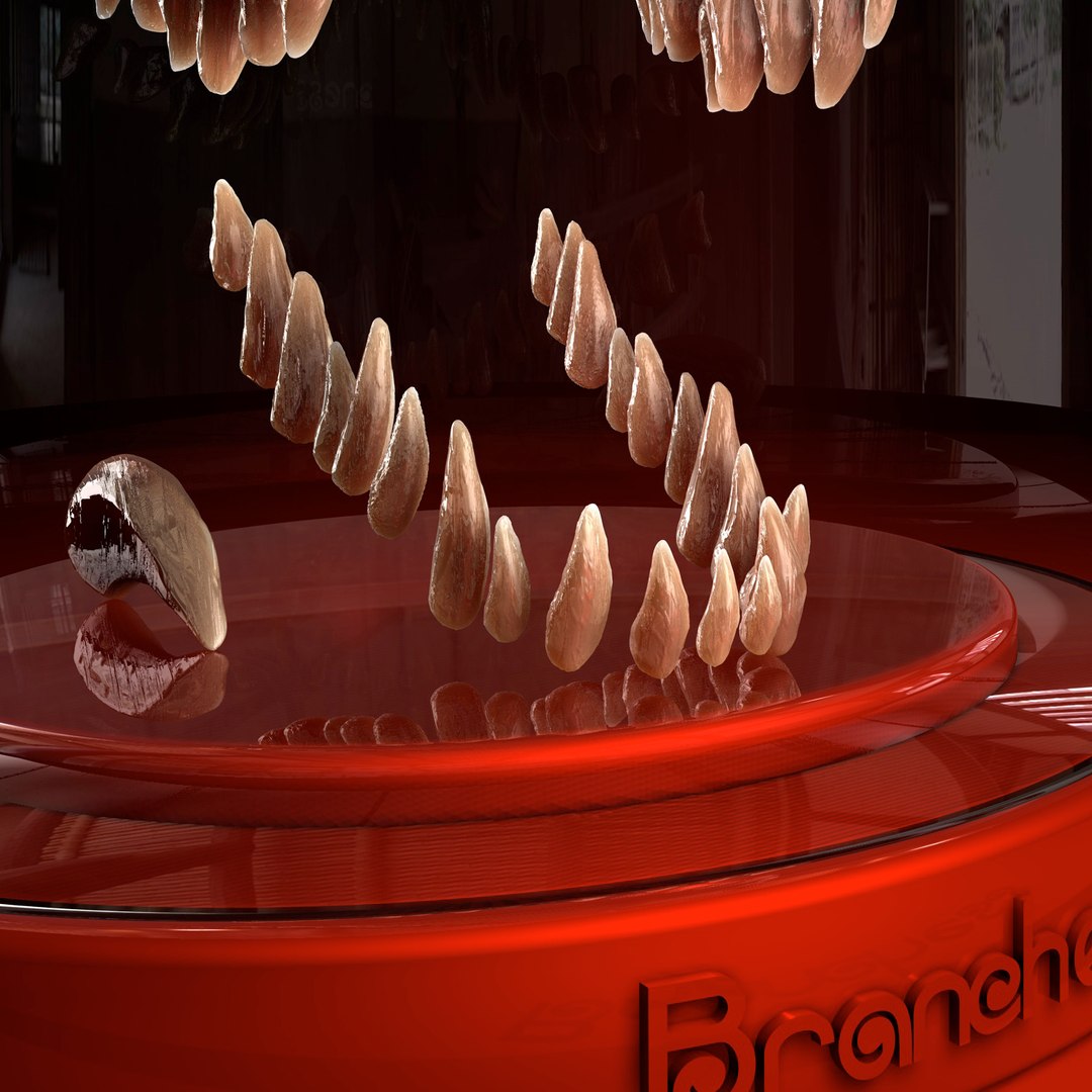 3d teeth dinosaur claw model