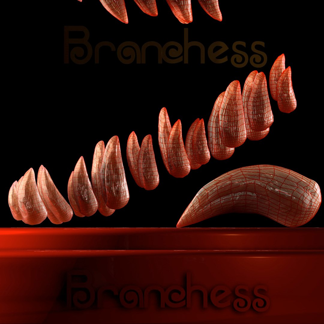 3d teeth dinosaur claw model