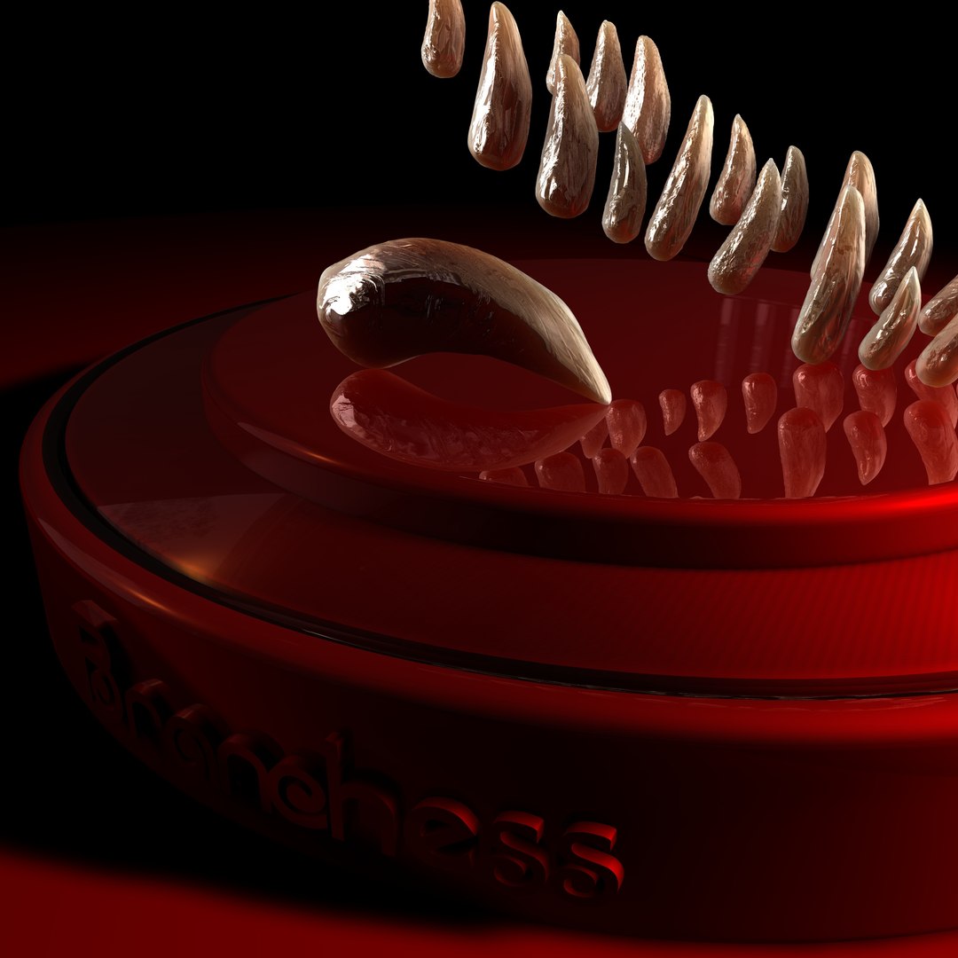 3d teeth dinosaur claw model