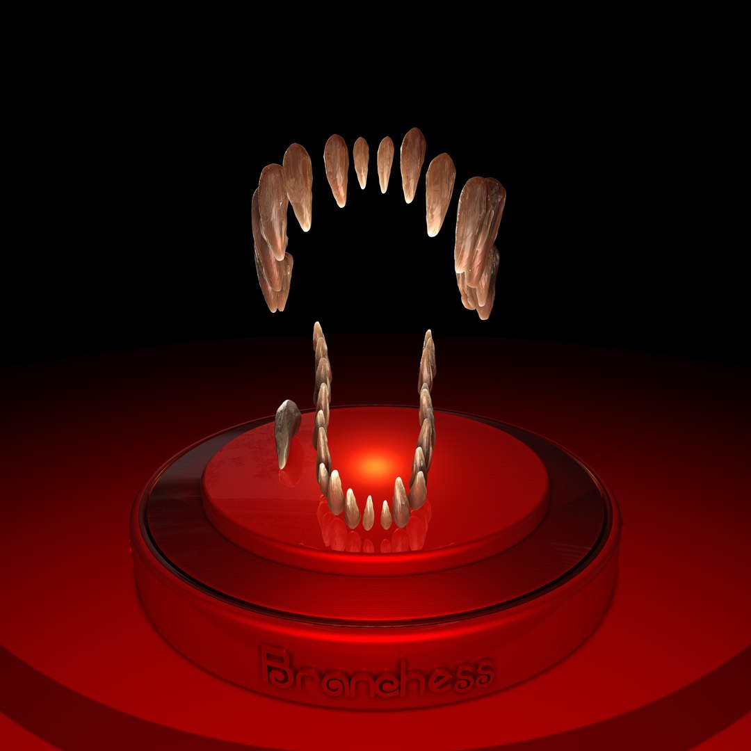 3d teeth dinosaur claw model