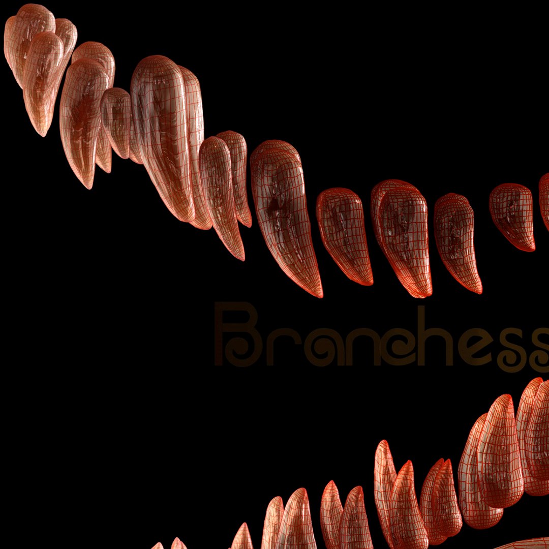 3d teeth dinosaur claw model