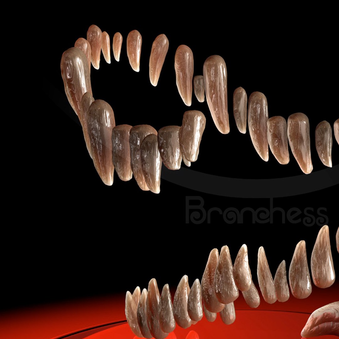 3d teeth dinosaur claw model