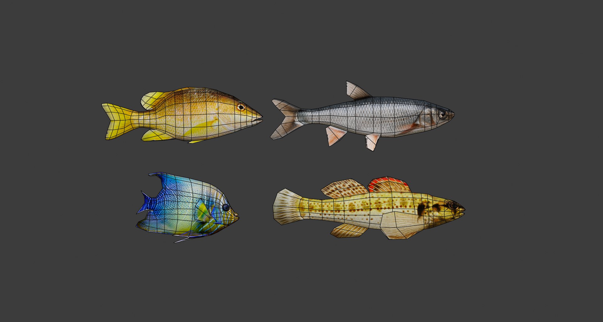 3D Fish Collection Low-poly - TurboSquid 2001339