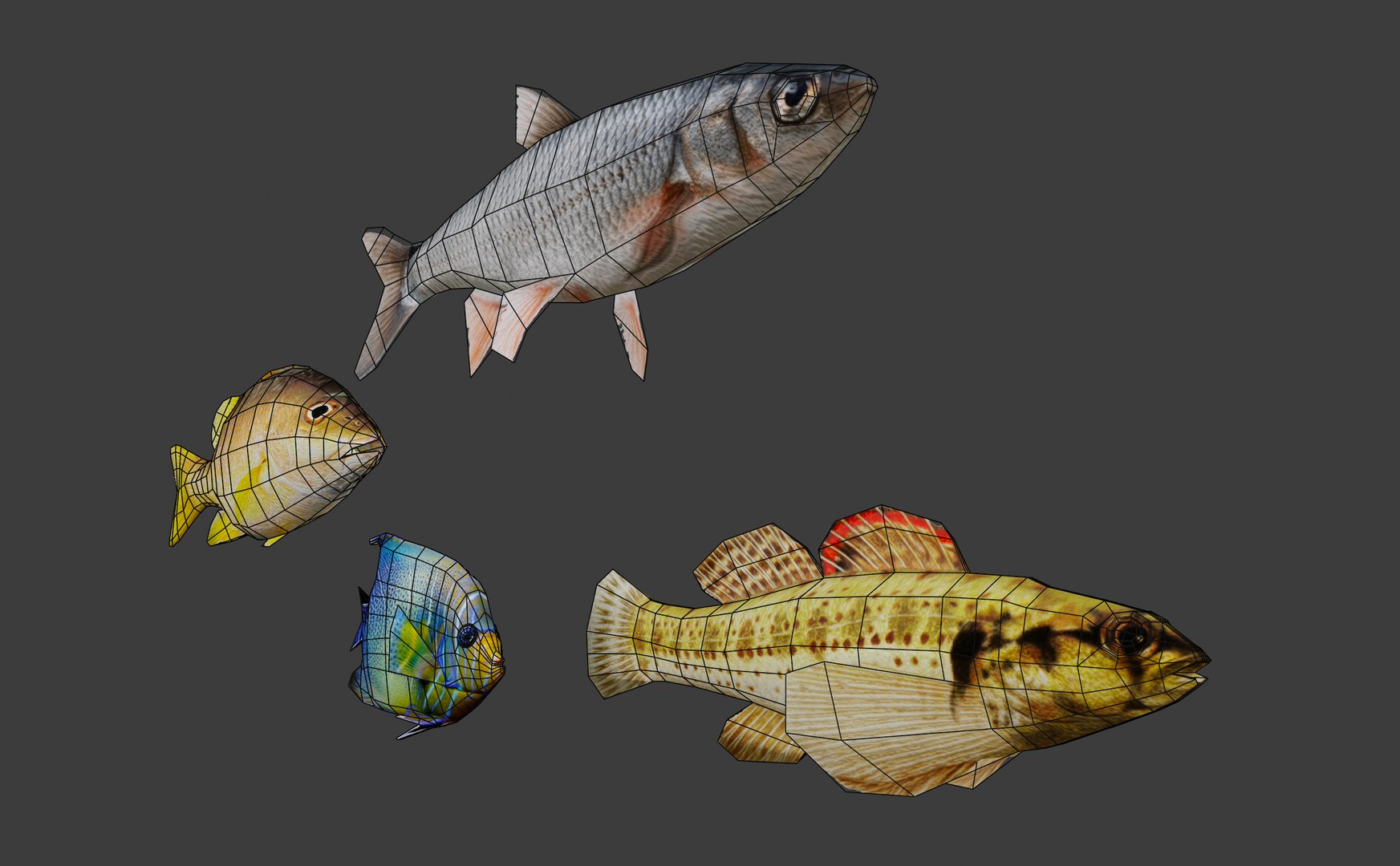 3D Fish Collection Low-poly - TurboSquid 2001339