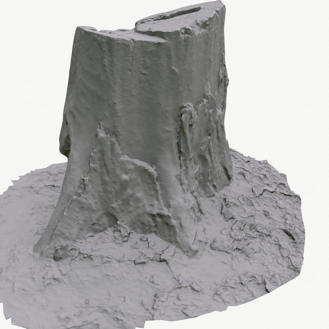 3D scan bpr tree stump - TurboSquid 1636783