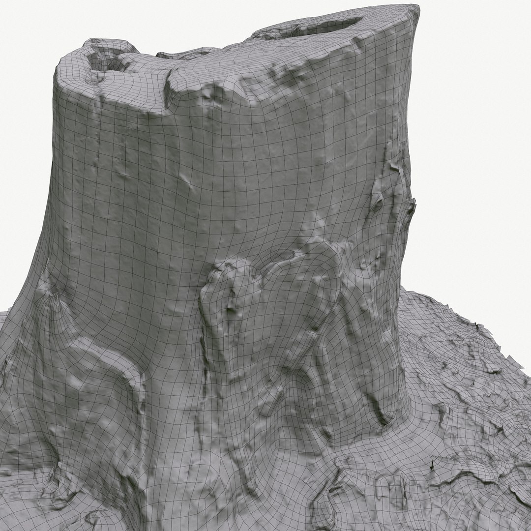 3D scan bpr tree stump - TurboSquid 1636783