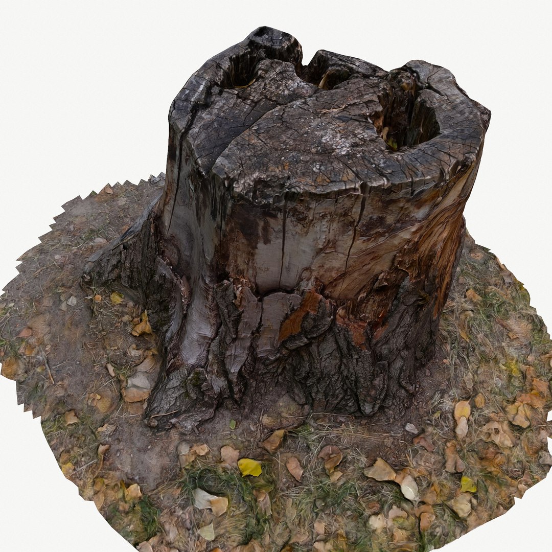 3D scan bpr tree stump - TurboSquid 1636783
