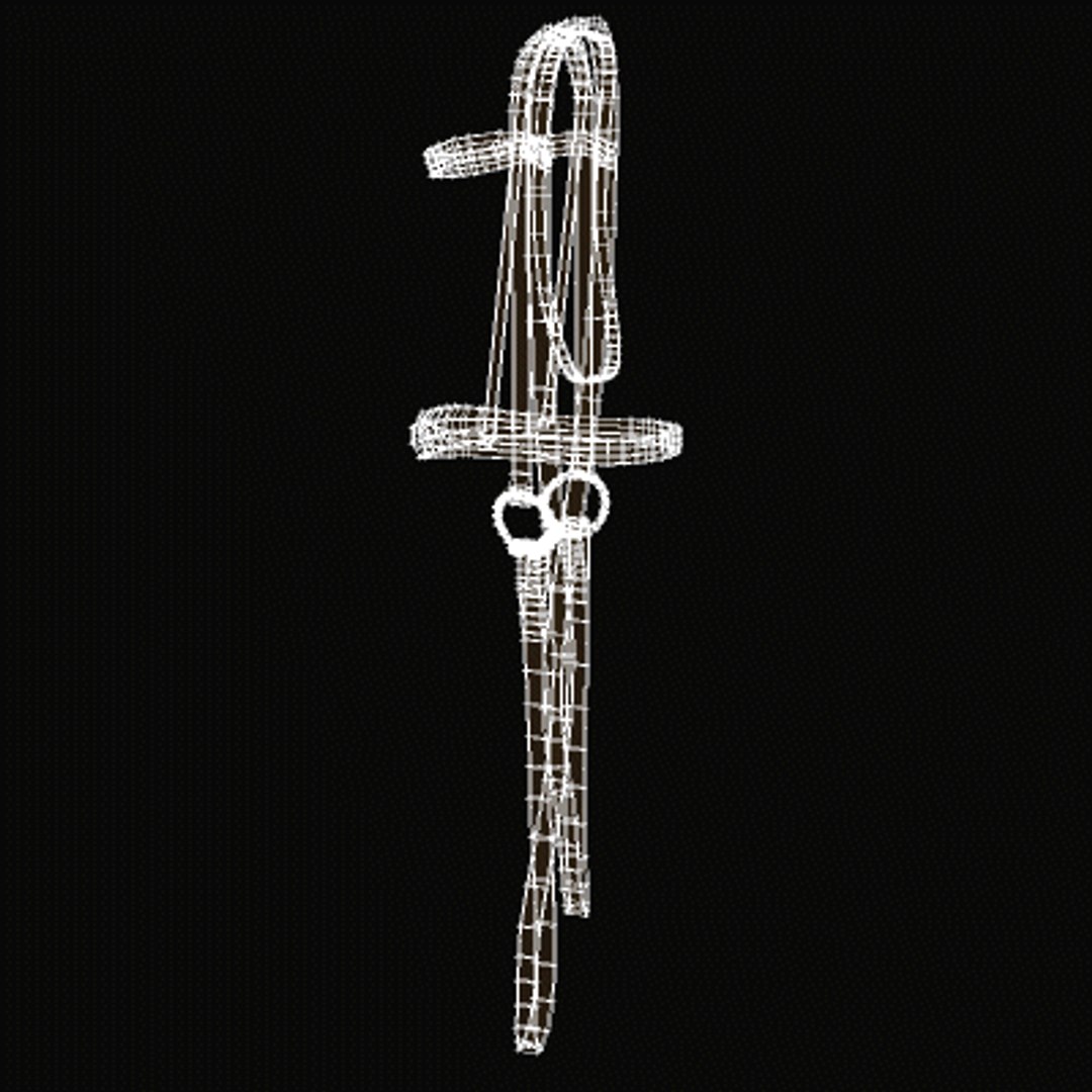 3d English Bridle Zipped