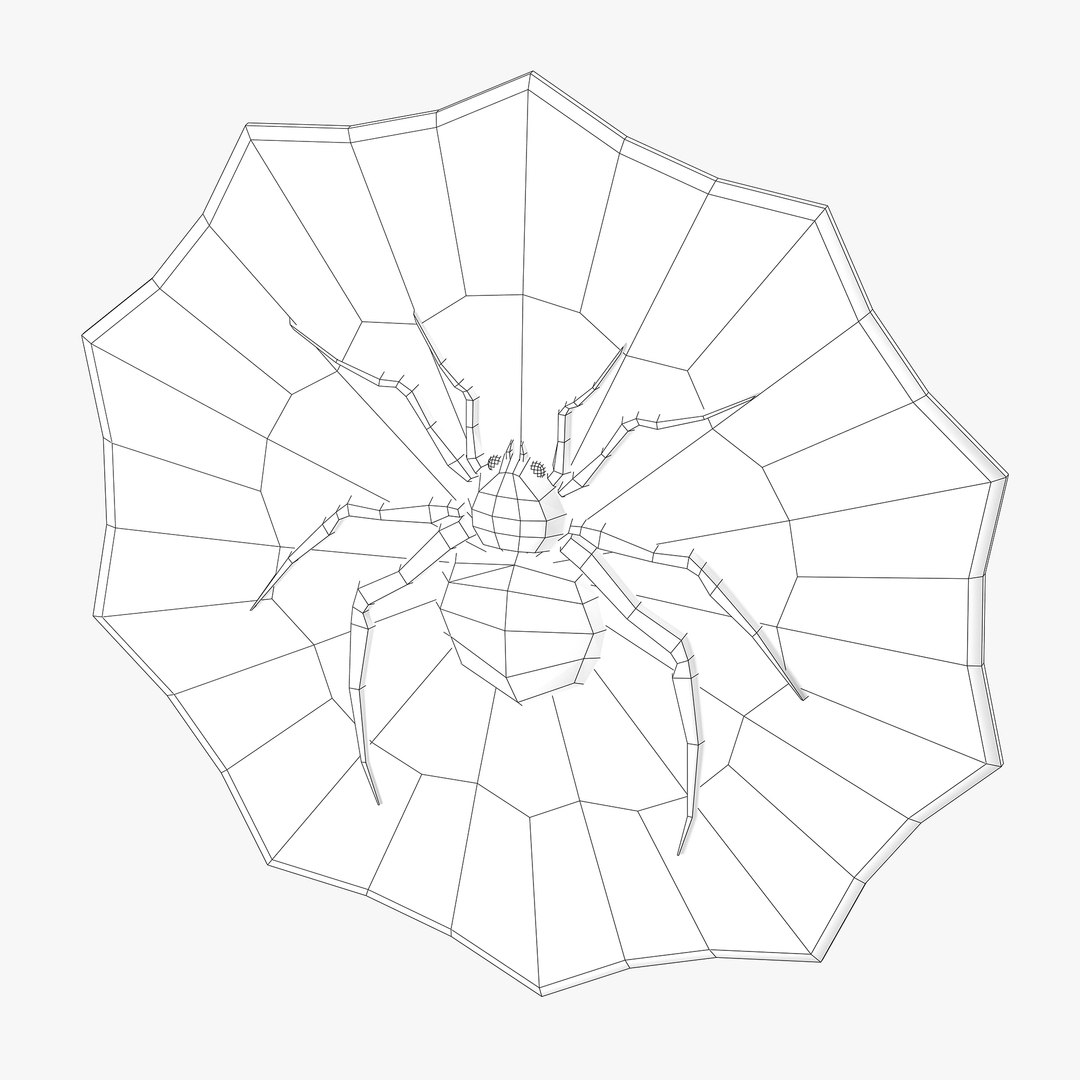 spider decorated shield 3d model