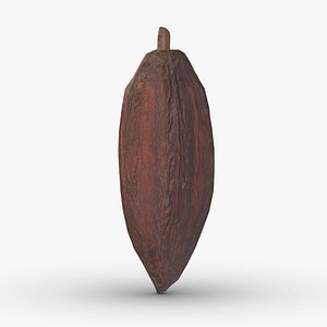 Cocoa Bean 3D Models for Download | TurboSquid