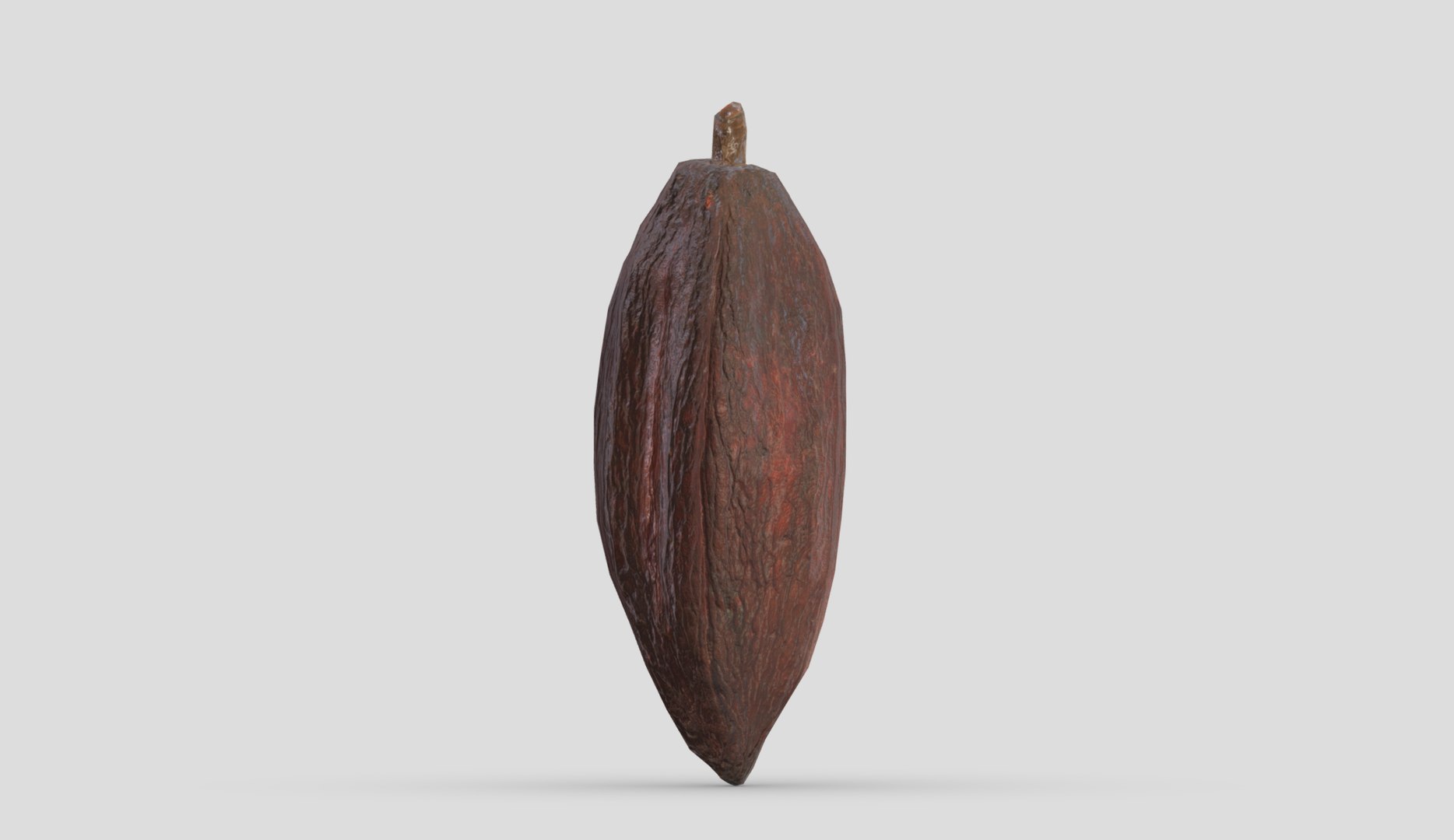Cocoa Low Poly 3D Model - TurboSquid 2251426