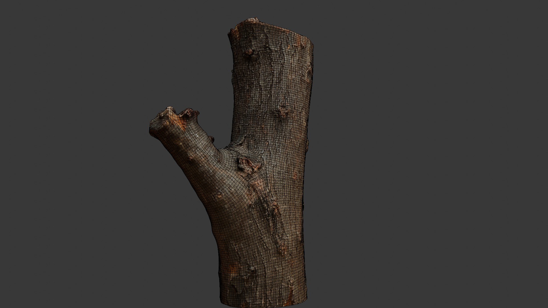 3D Tree Trunk With Branch Stubs 3D Scan Model - TurboSquid 2404877