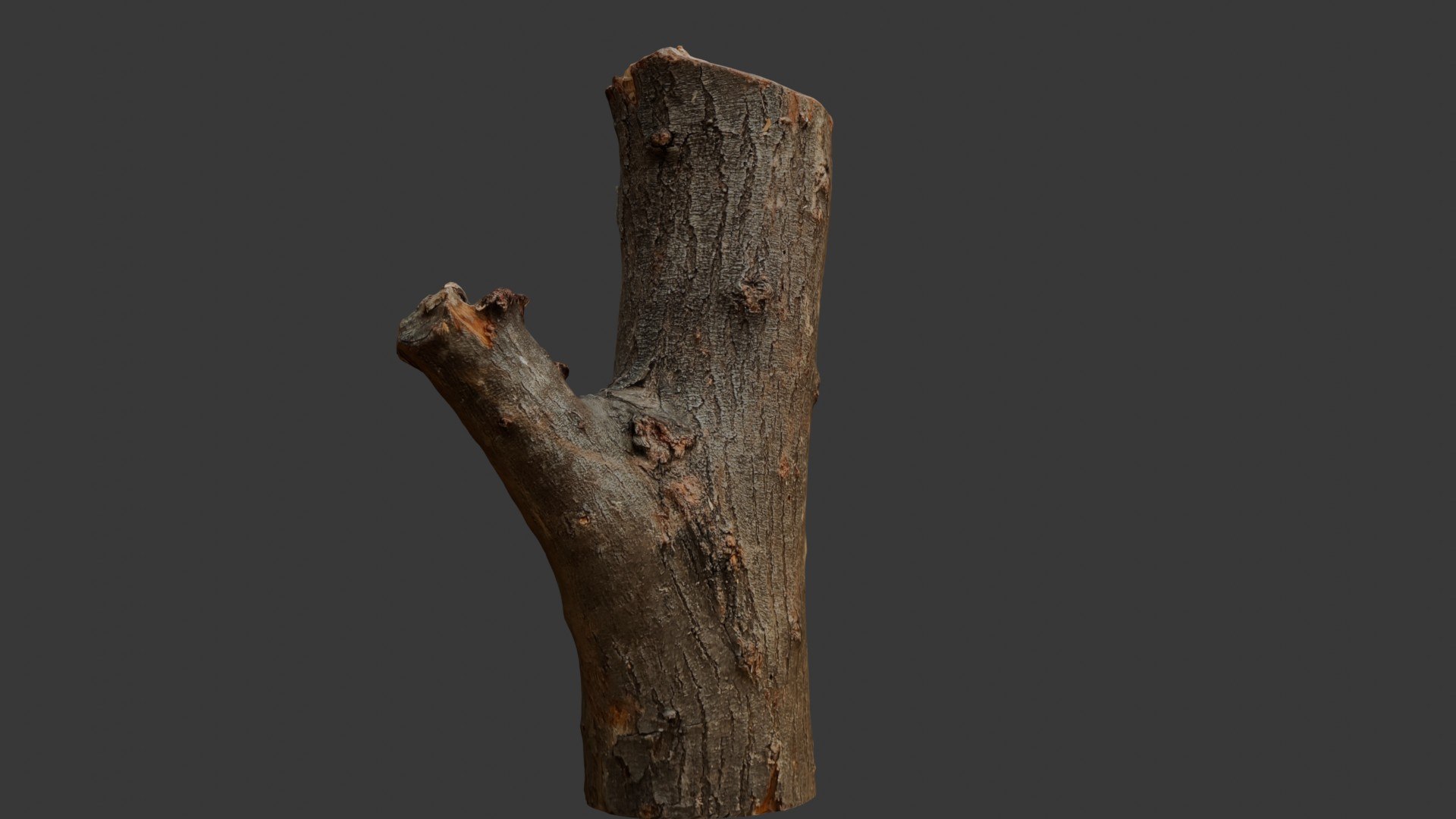 3D Tree Trunk With Branch Stubs 3D Scan Model - TurboSquid 2404877