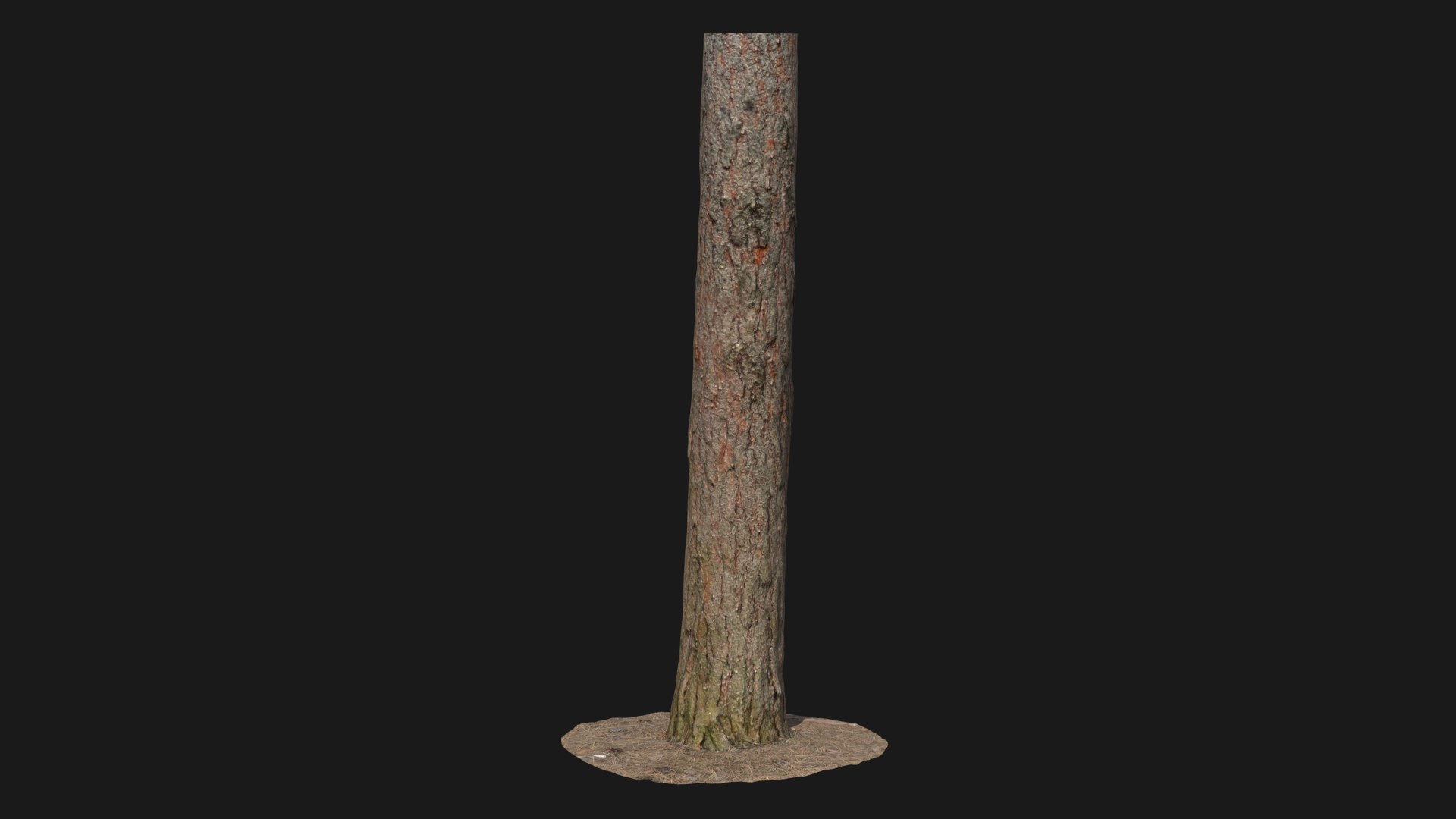 3D Pine Tree Trunk Scan 02 Model - TurboSquid 1714184