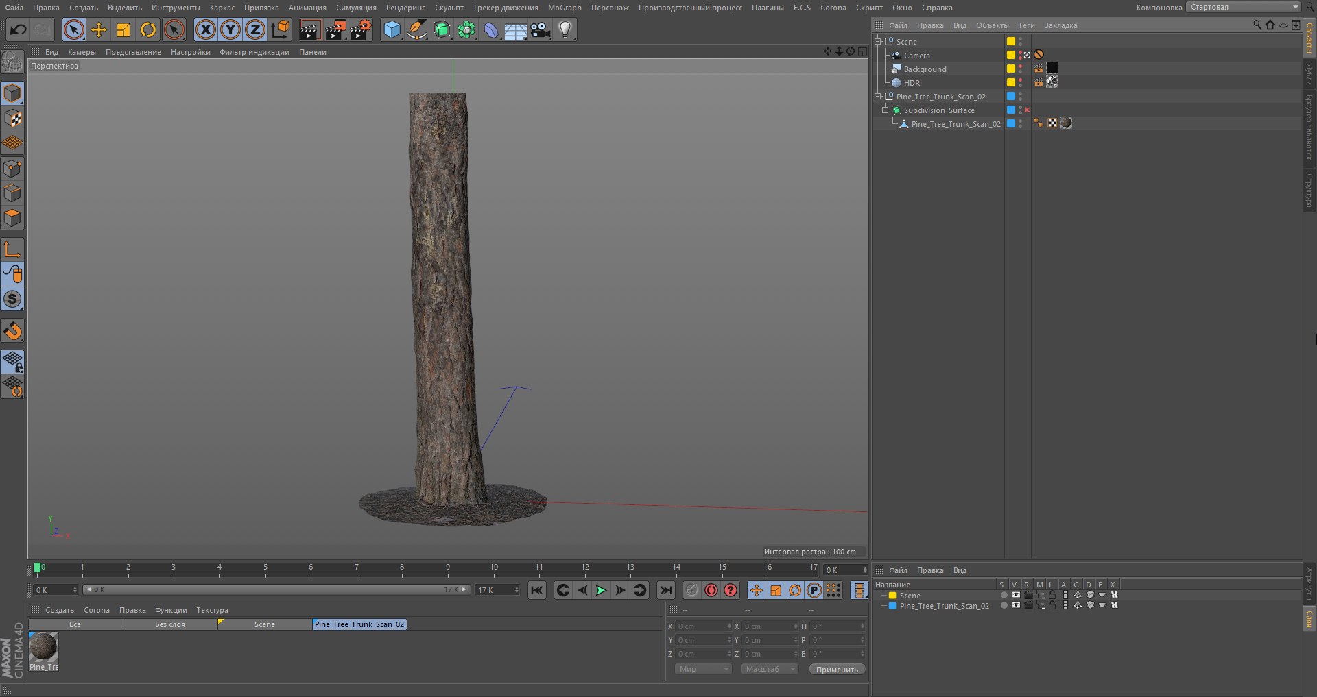 3D Pine Tree Trunk Scan 02 Model - TurboSquid 1714184