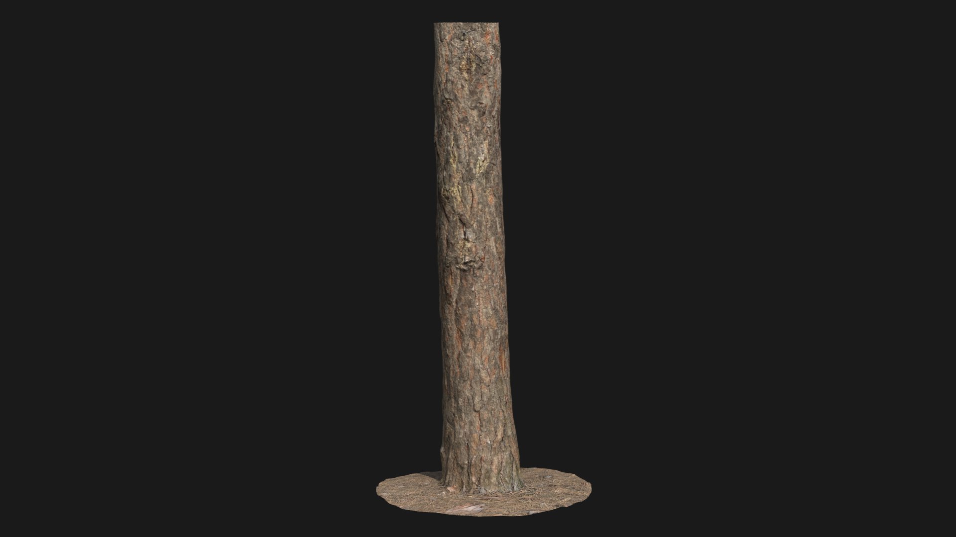 3D Pine Tree Trunk Scan 02 Model - TurboSquid 1714184