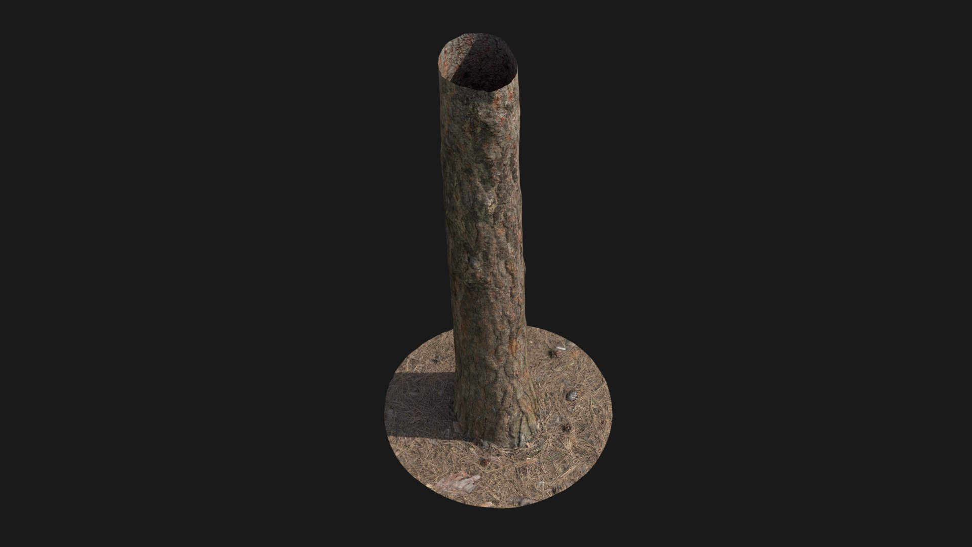 3D Pine Tree Trunk Scan 02 Model - TurboSquid 1714184