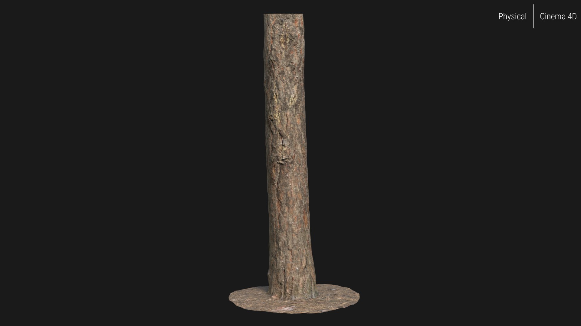 3D Pine Tree Trunk Scan 02 Model - TurboSquid 1714184