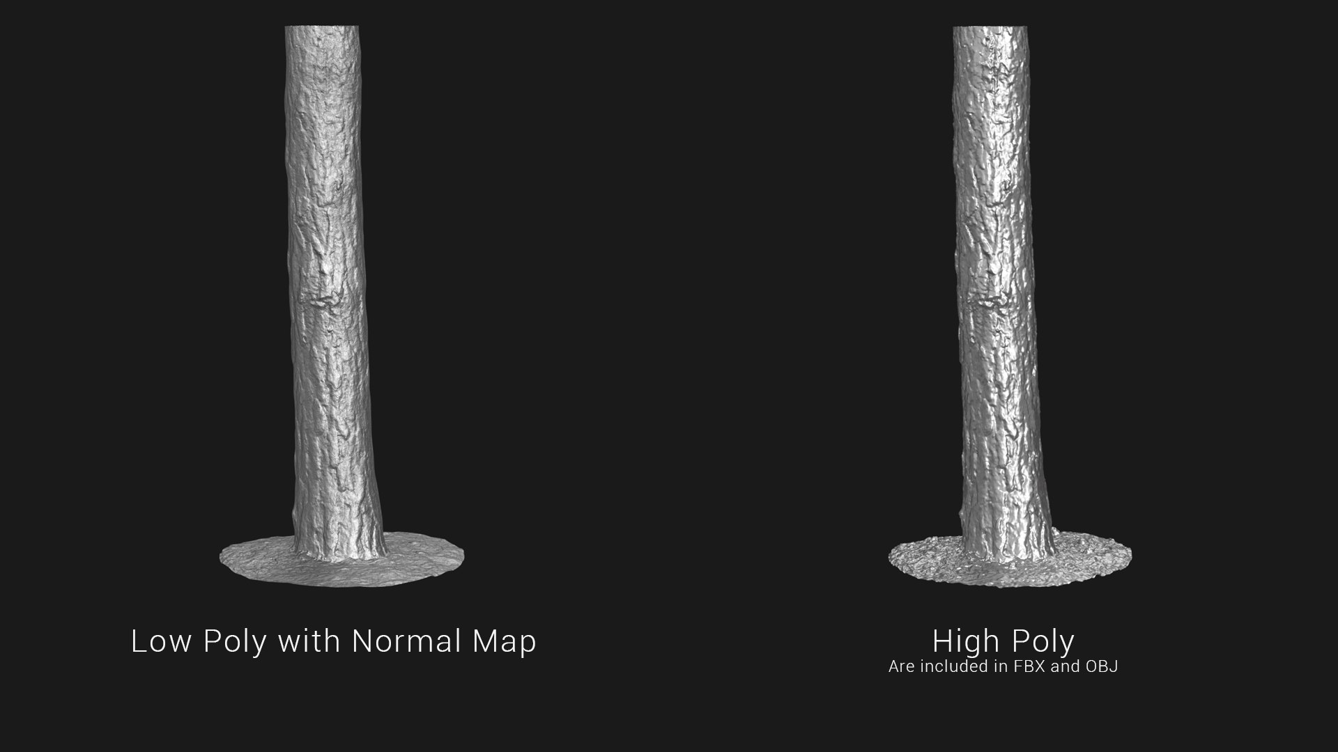 3D Pine Tree Trunk Scan 02 Model - TurboSquid 1714184