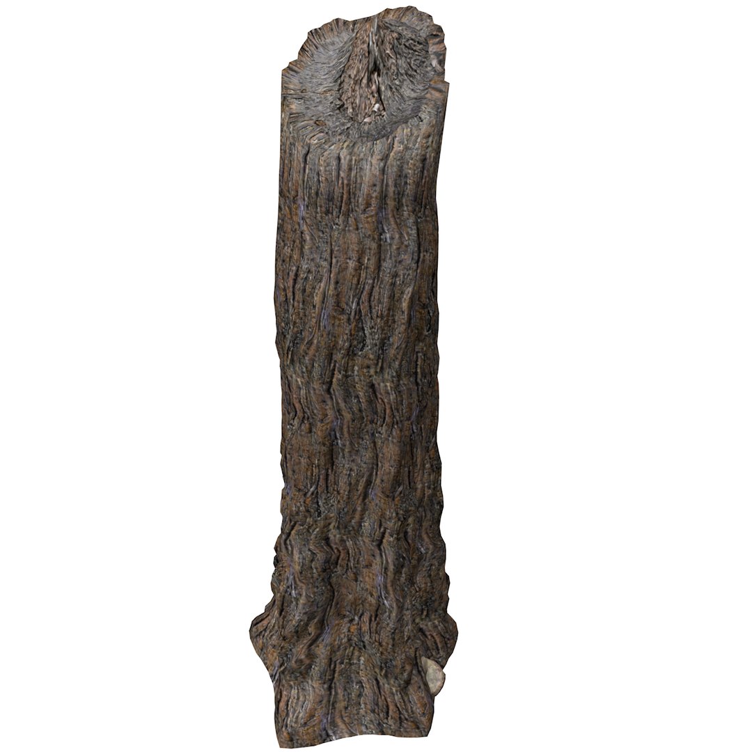 3D Giant Redwood Sequoia Tree Stump - 02 - - TurboSquid 2373506
