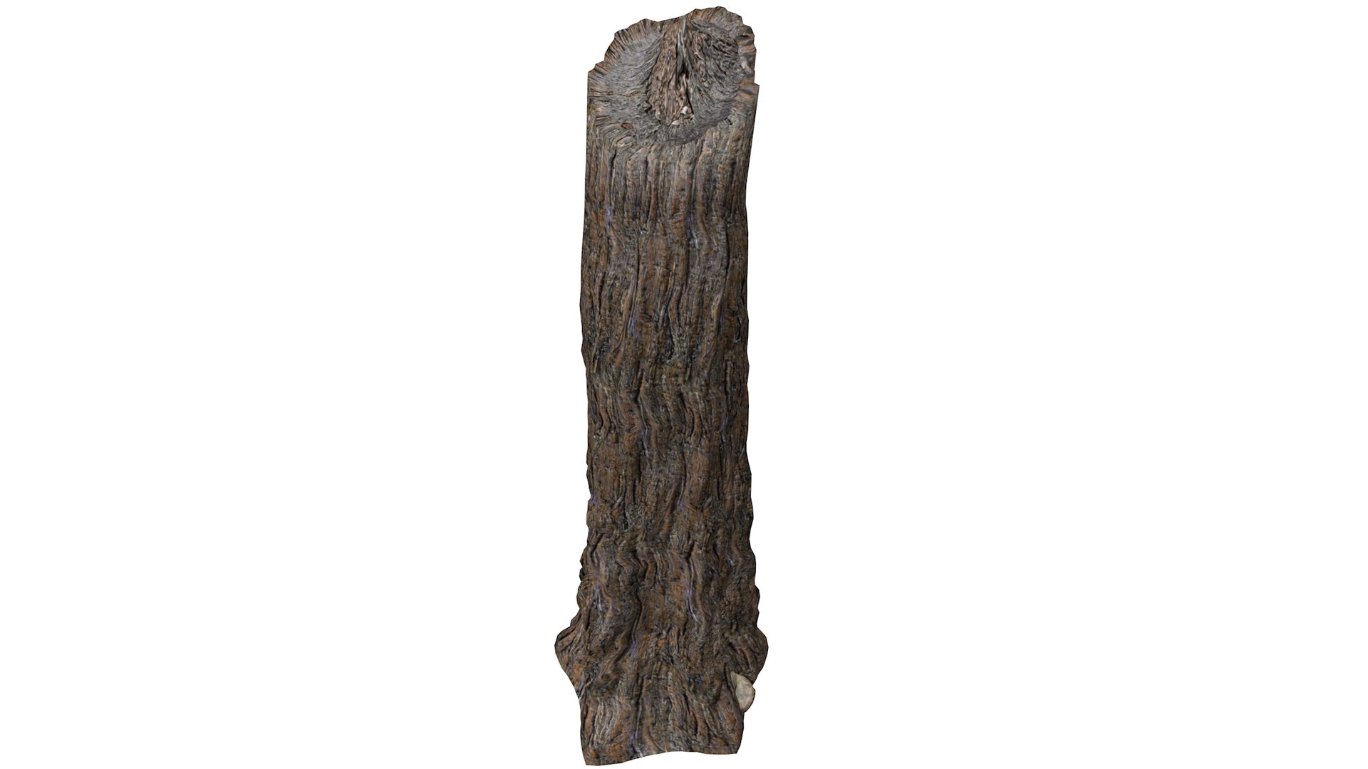 3D Giant Redwood Sequoia Tree Stump - 02 - - TurboSquid 2373506