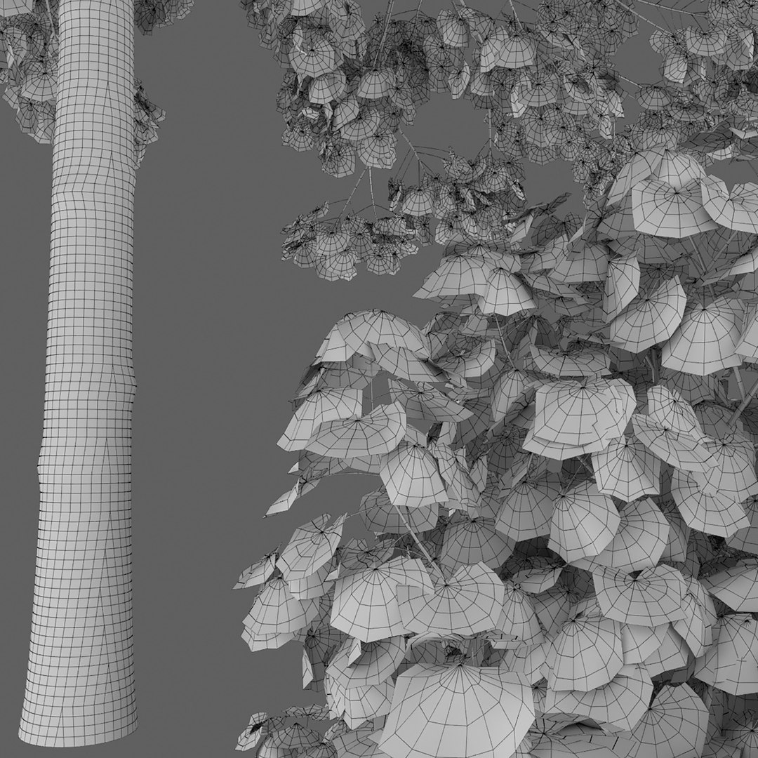 3D Maple-tree 15 - TurboSquid 1841564