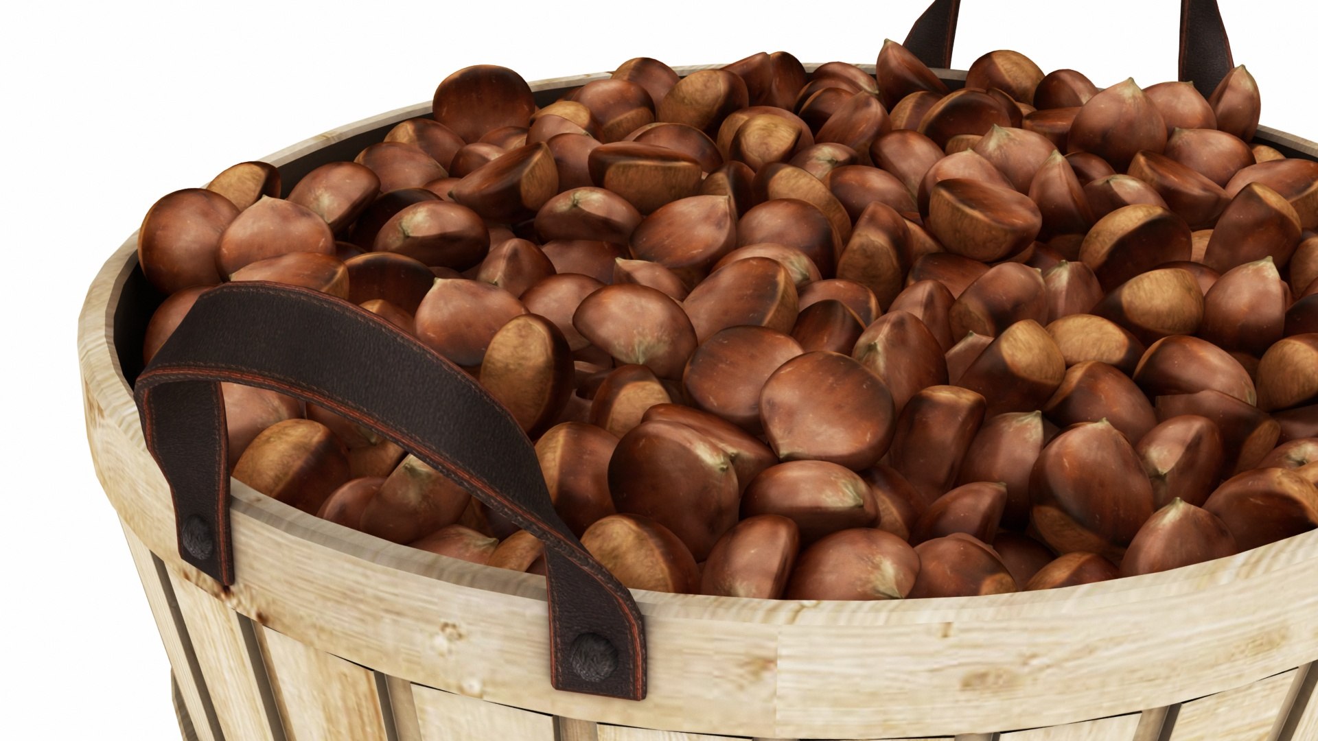 3D Model Chestnuts Nut - TurboSquid 1551214