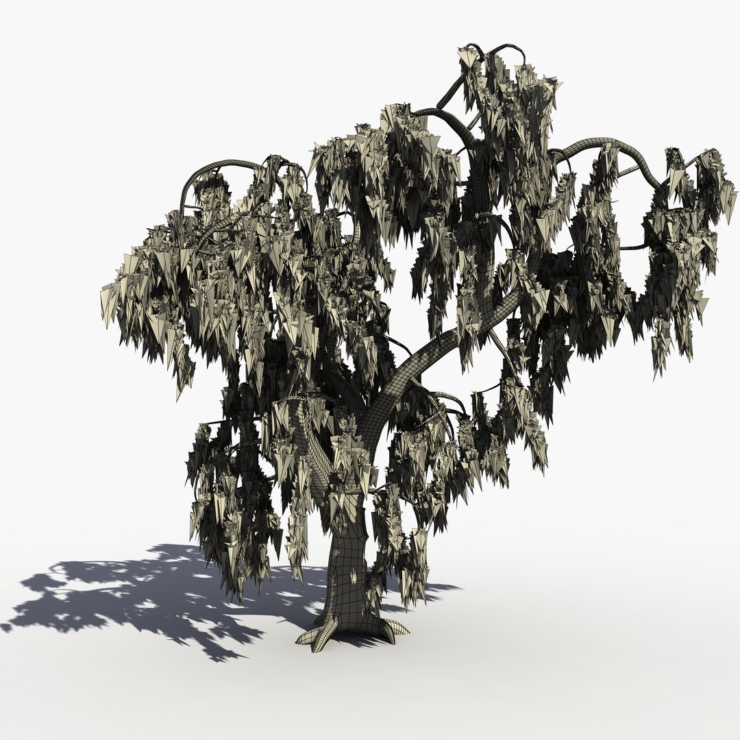 3d Model Realistic Acacia Tree