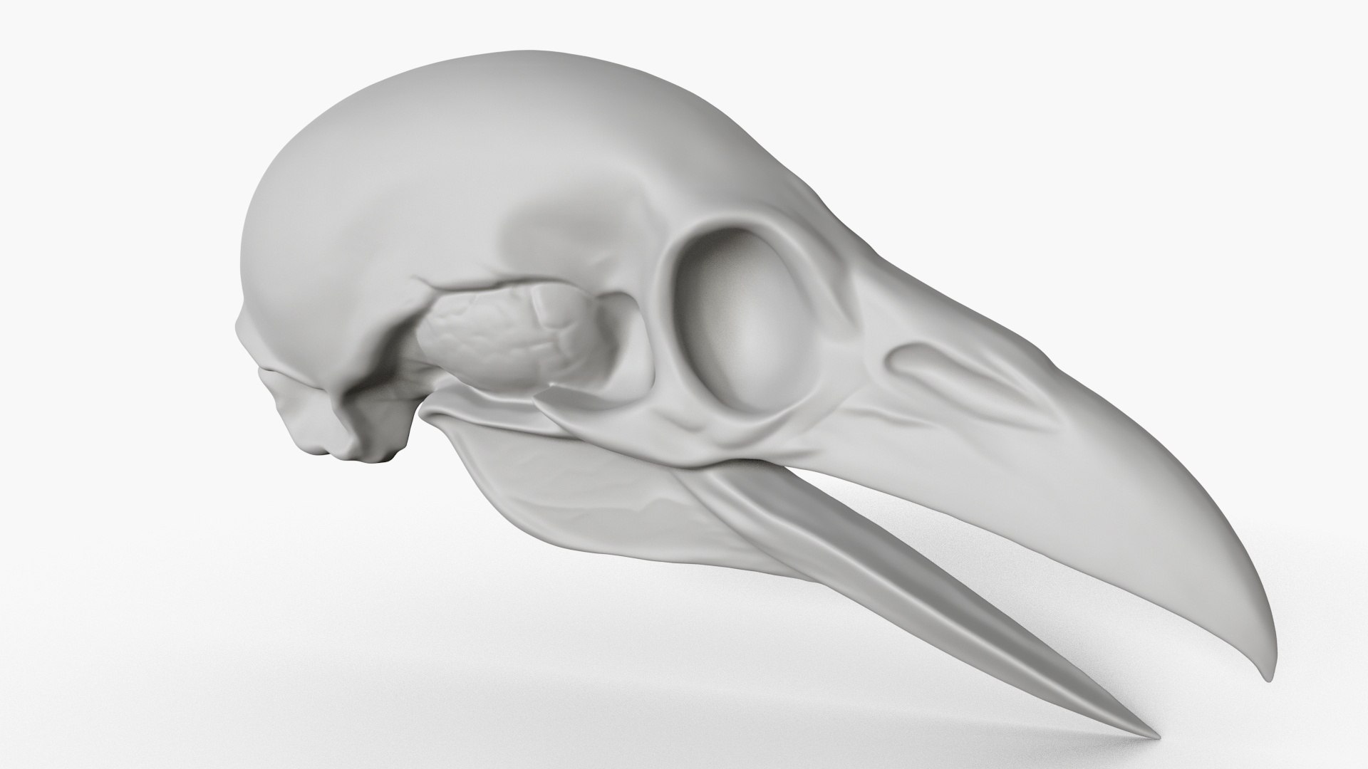 3D Crow Head Relief 3 - TurboSquid 2287520