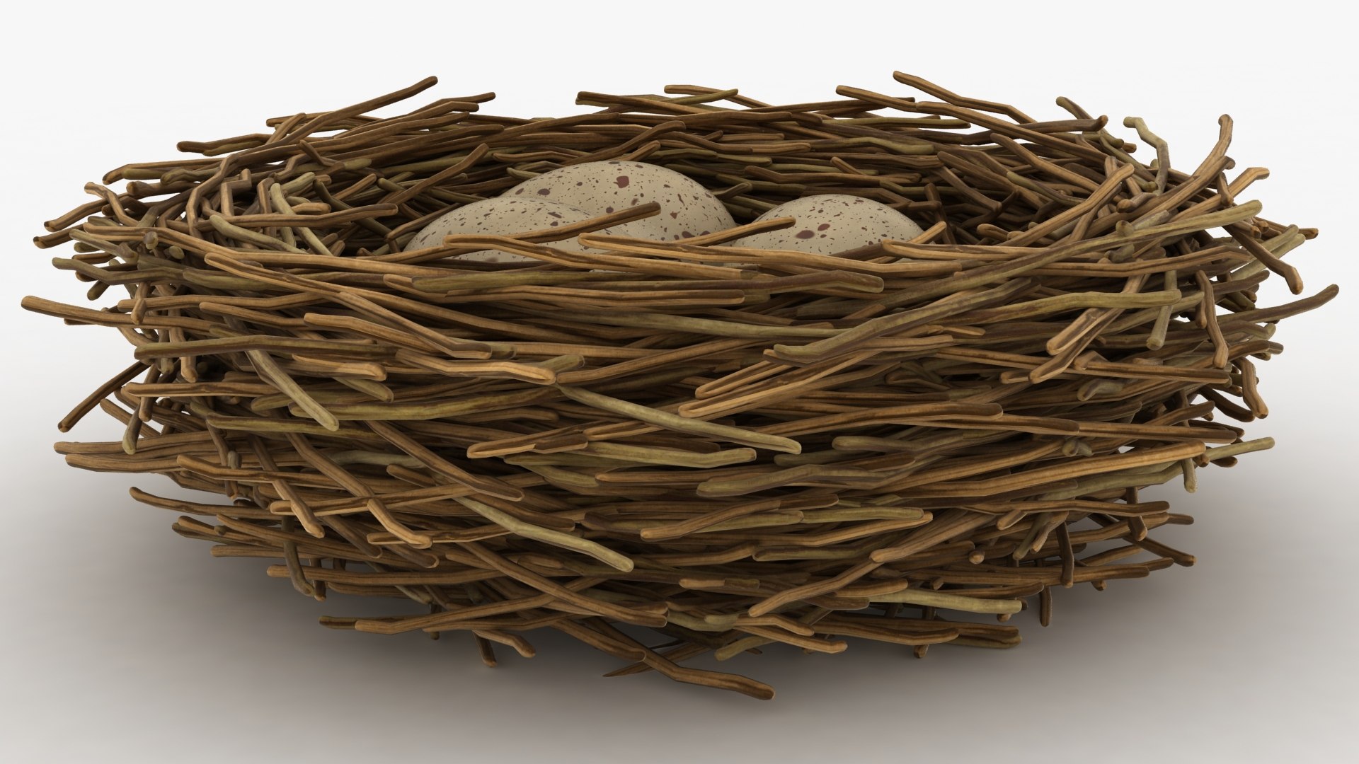 Realistic bird nest 05 3D model - TurboSquid 1562042