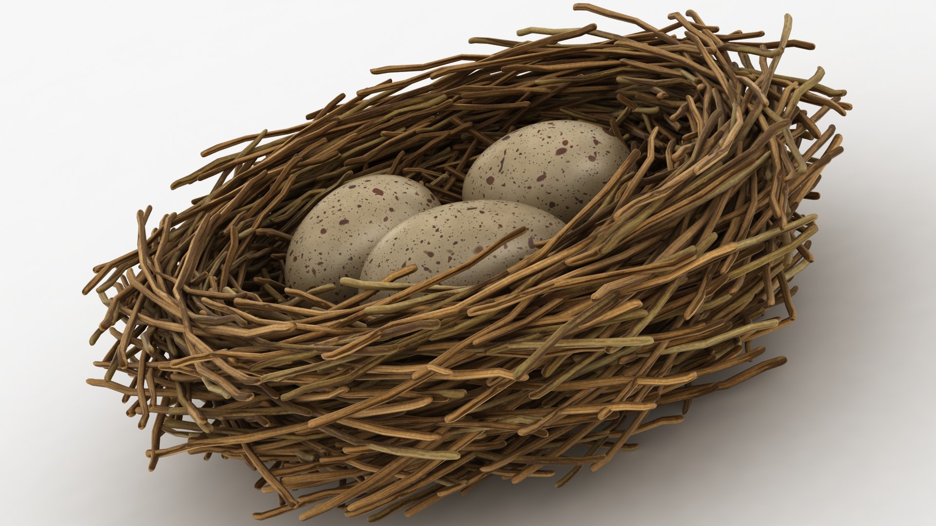 Realistic bird nest 05 3D model - TurboSquid 1562042