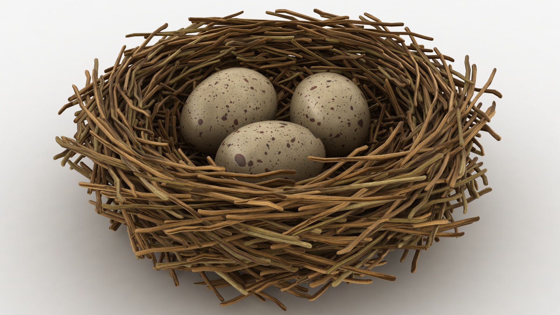 Realistic bird nest 05 3D model - TurboSquid 1562042