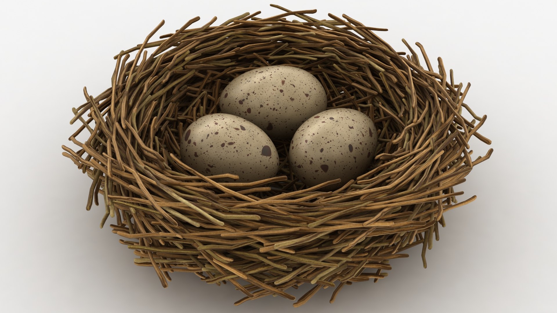 Realistic bird nest 05 3D model - TurboSquid 1562042