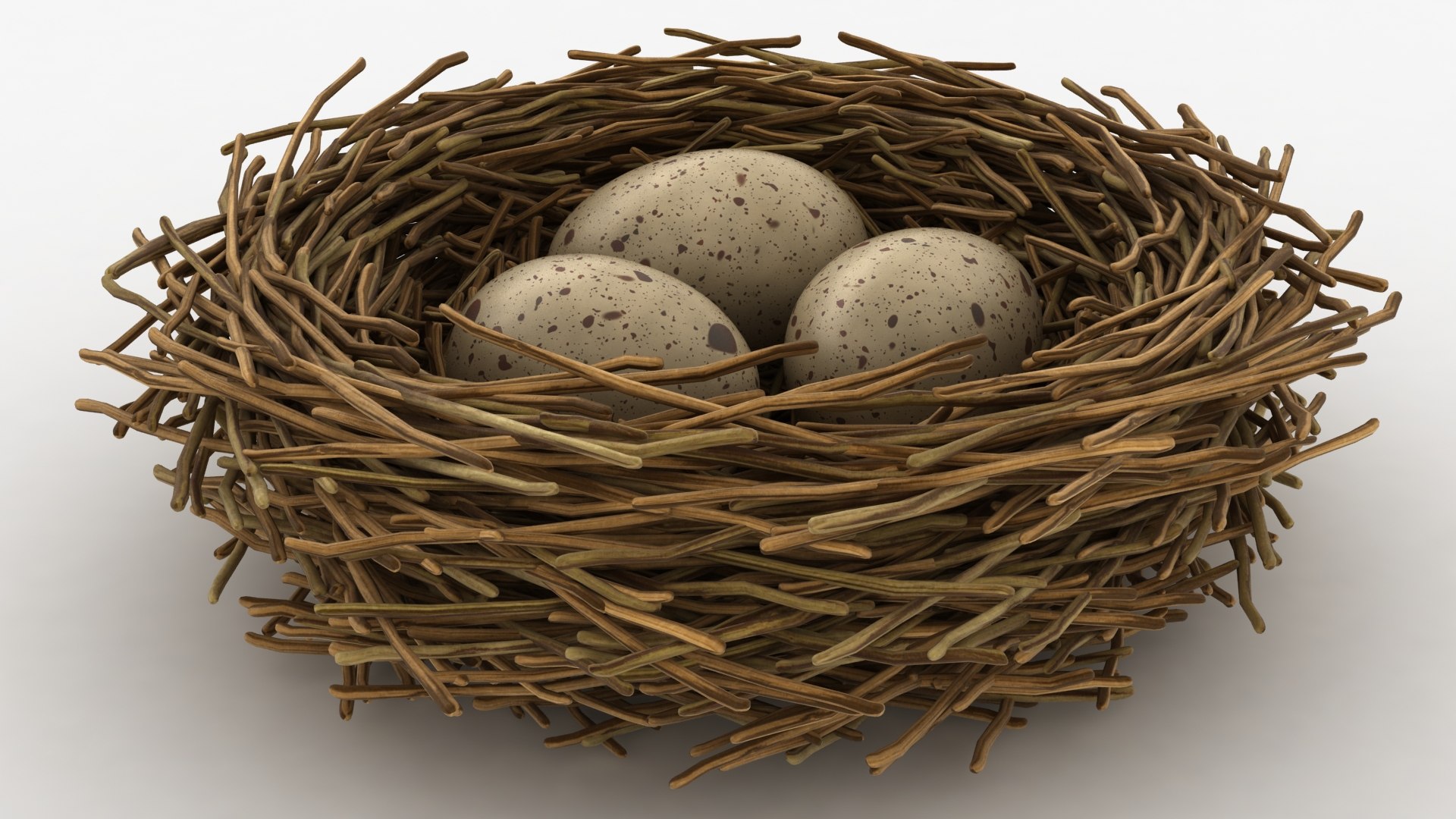 Realistic bird nest 05 3D model - TurboSquid 1562042