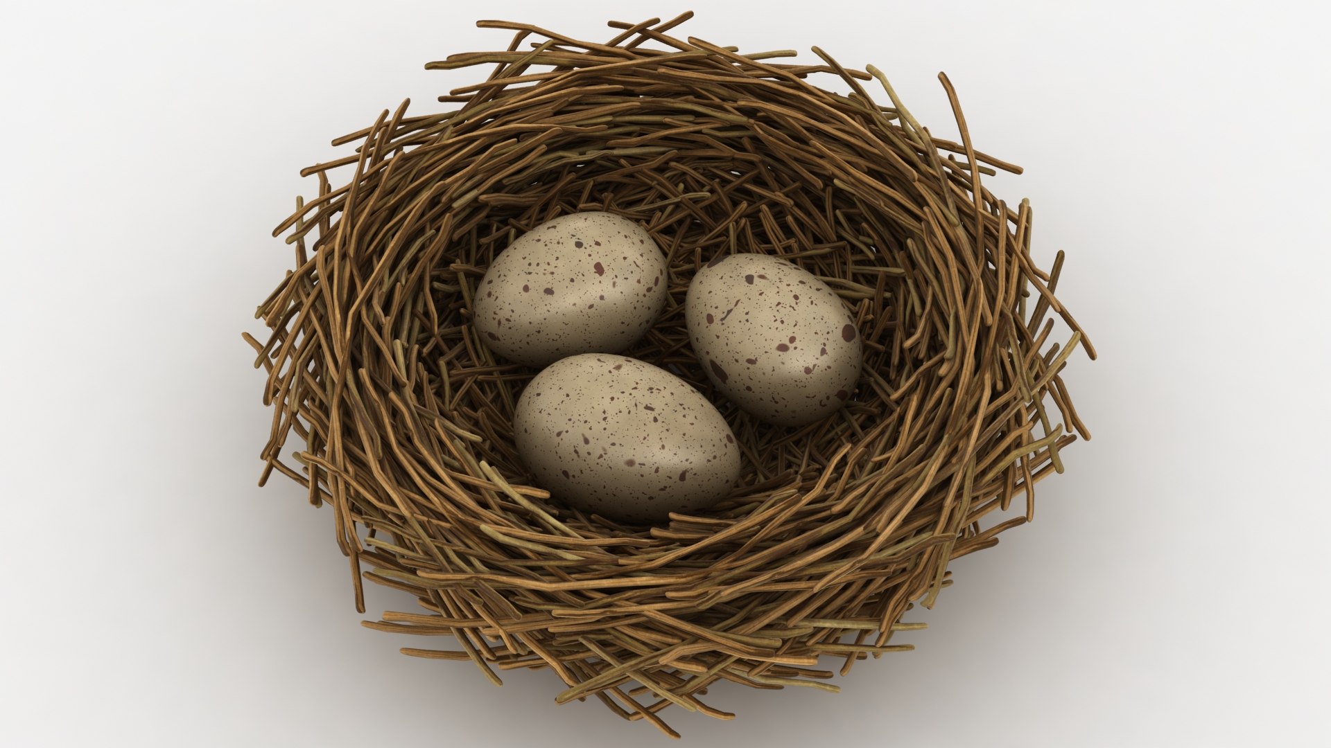Realistic bird nest 05 3D model - TurboSquid 1562042