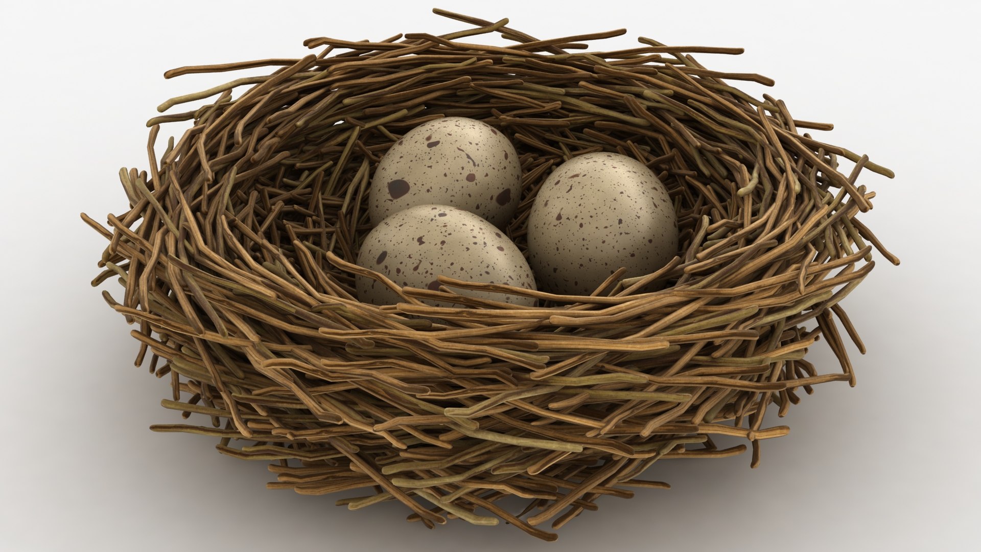 Realistic bird nest 05 3D model - TurboSquid 1562042