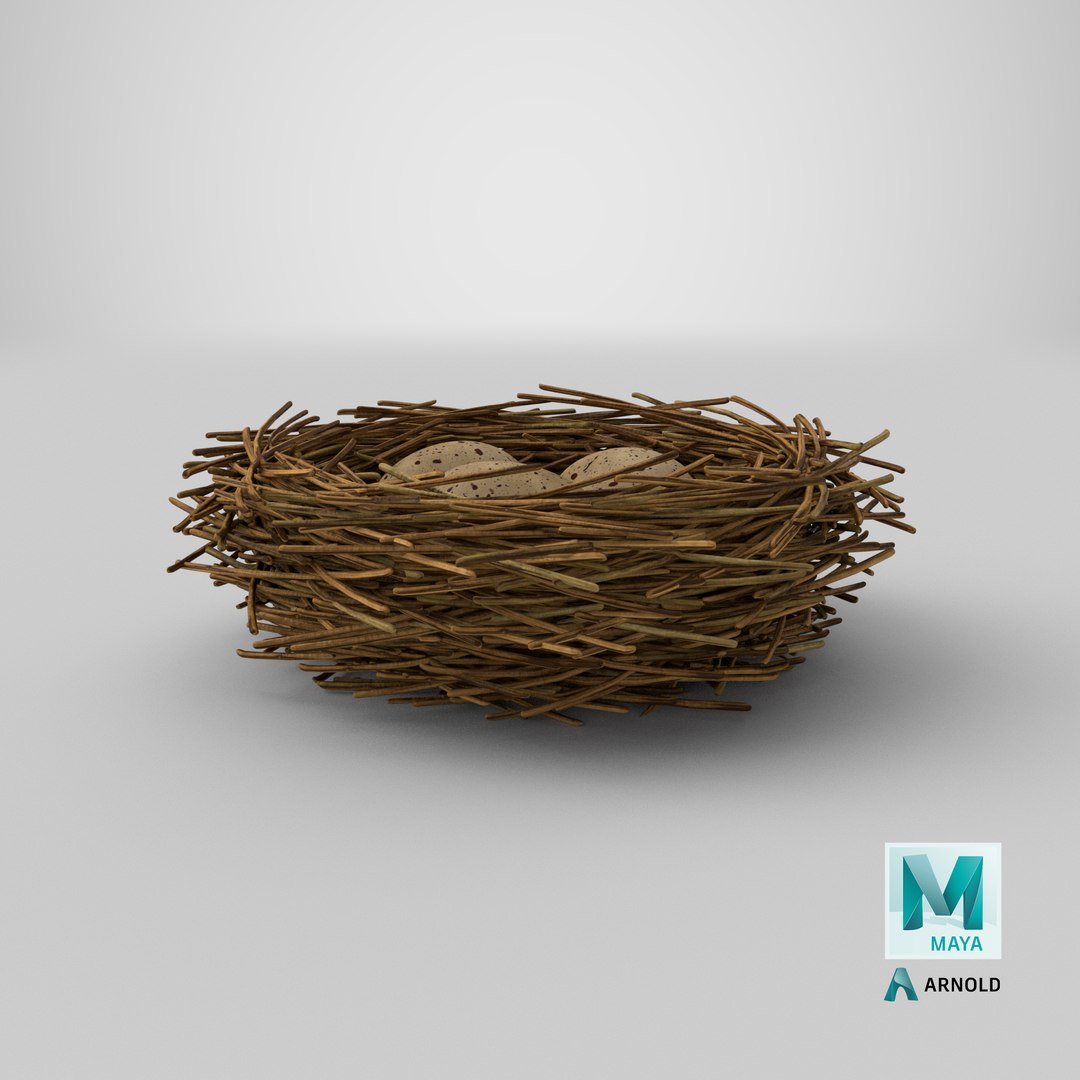 Realistic bird nest 05 3D model - TurboSquid 1562042