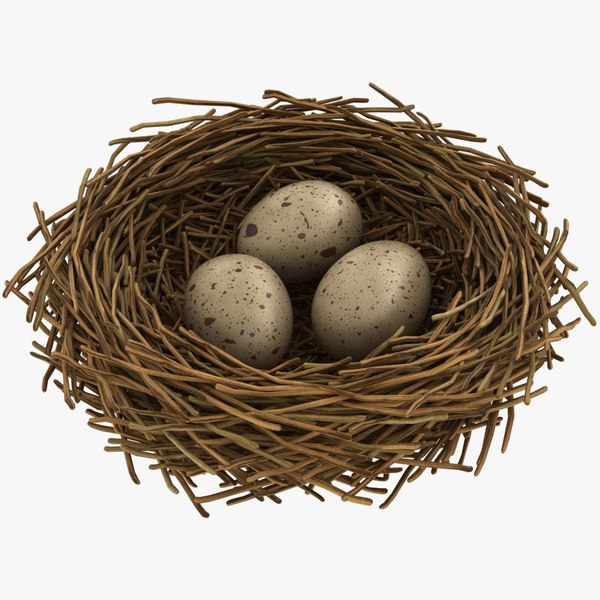 Free 3D Birds-Nest Models | TurboSquid