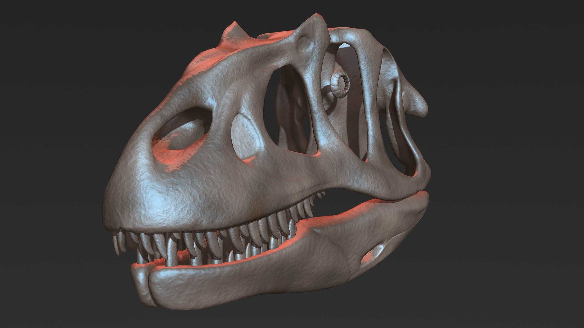 Allosaurus Skull 3D Model - TurboSquid 1228843