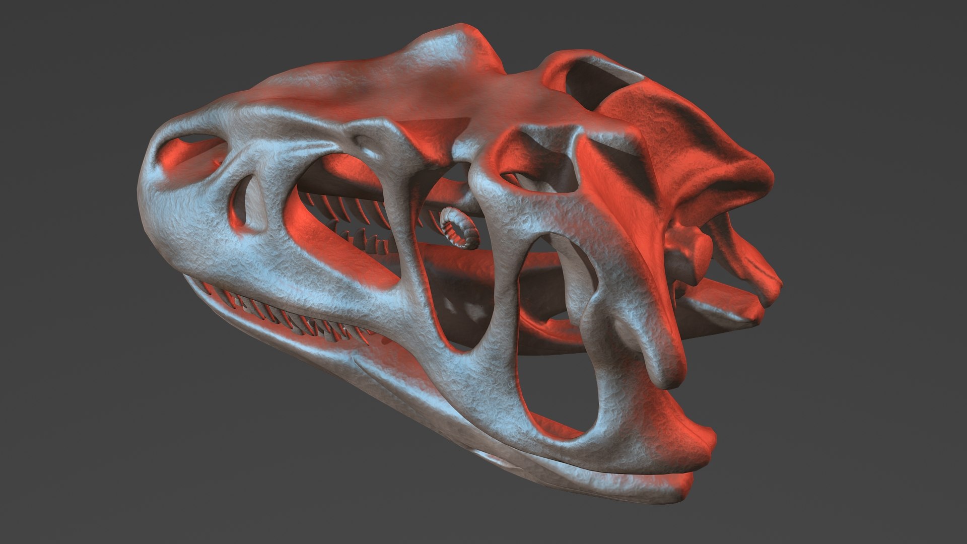 Allosaurus Skull 3D Model - TurboSquid 1228843