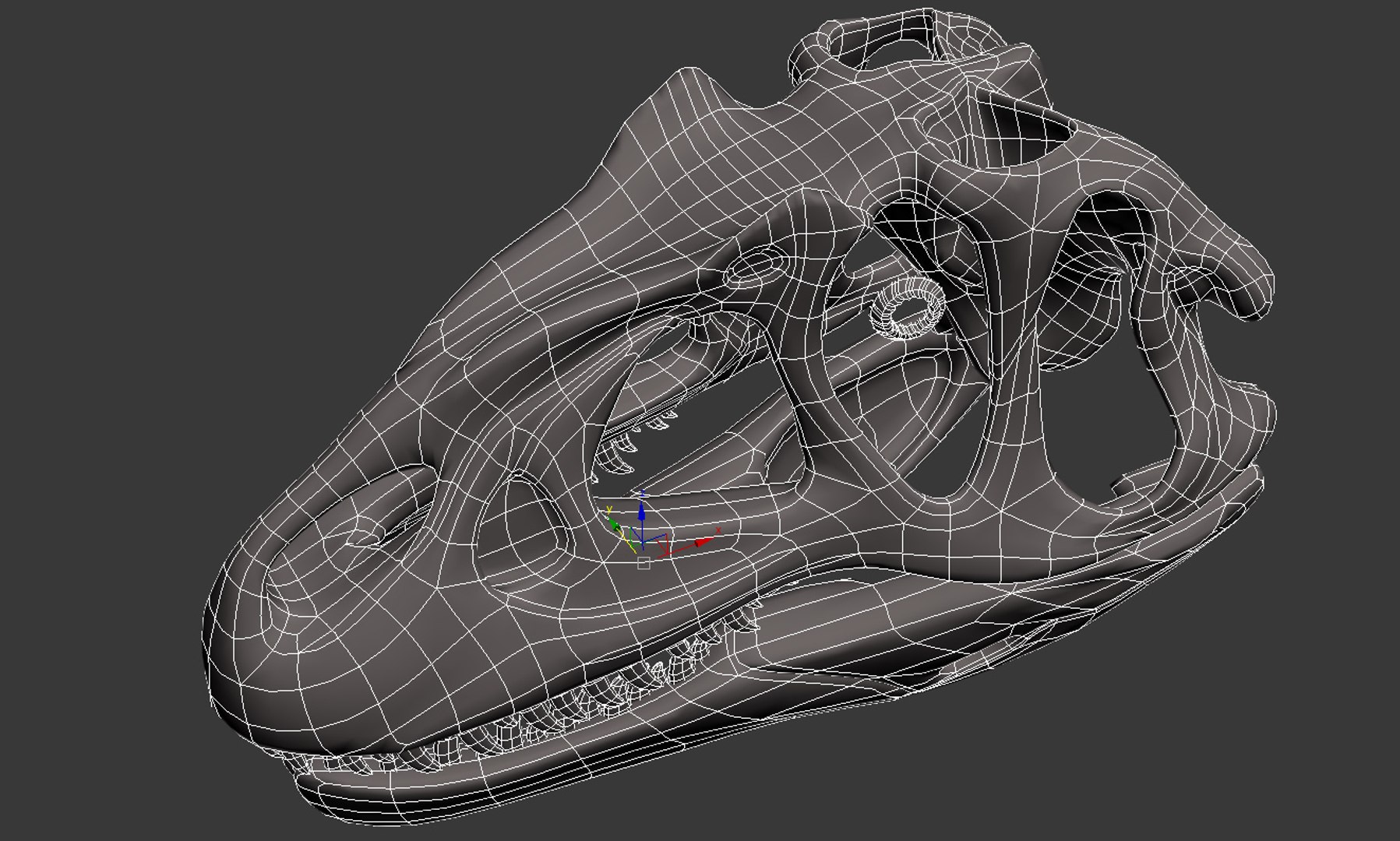 Allosaurus Skull 3D Model - TurboSquid 1228843