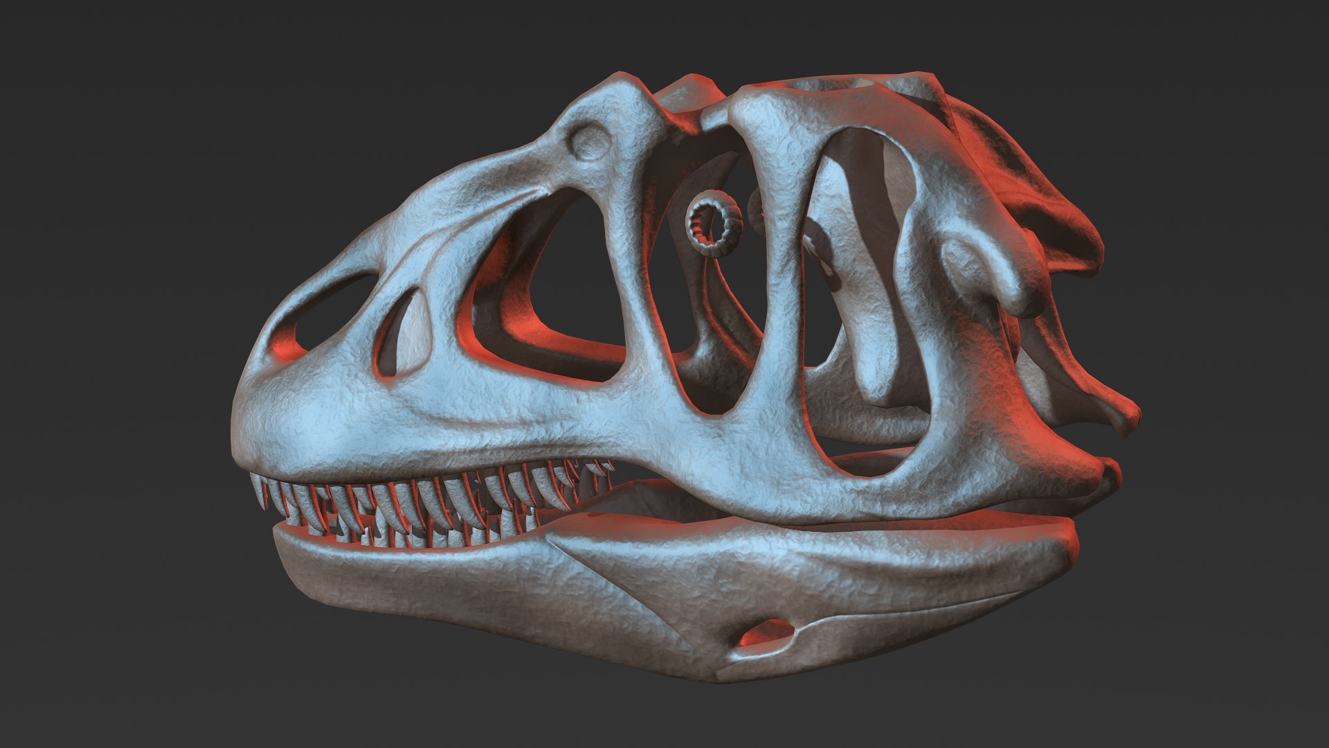 Allosaurus Skull 3D Model - TurboSquid 1228843
