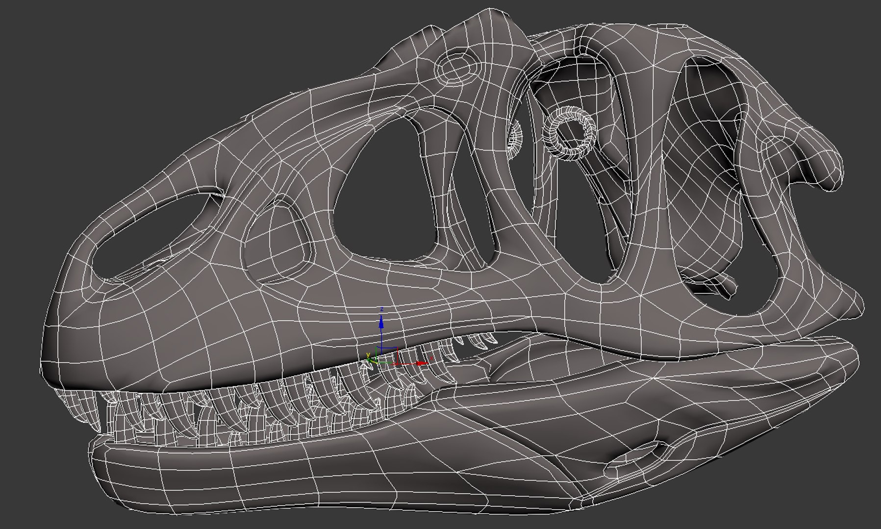 Allosaurus Skull 3D Model - TurboSquid 1228843