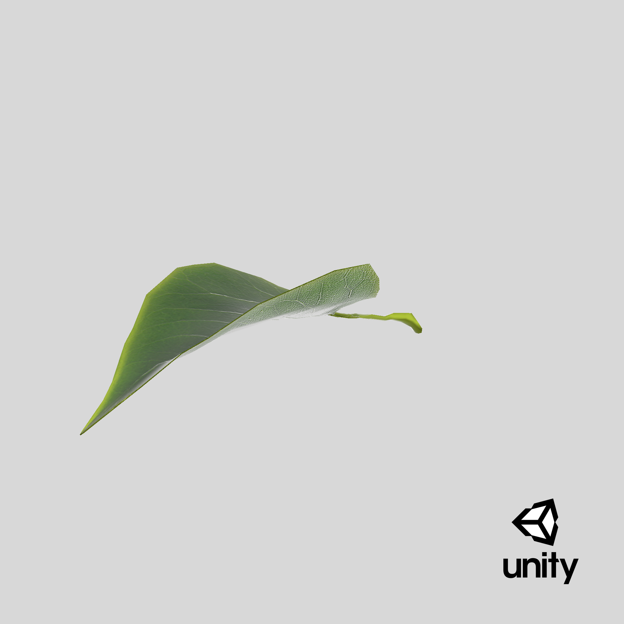 3d leaf 2 model